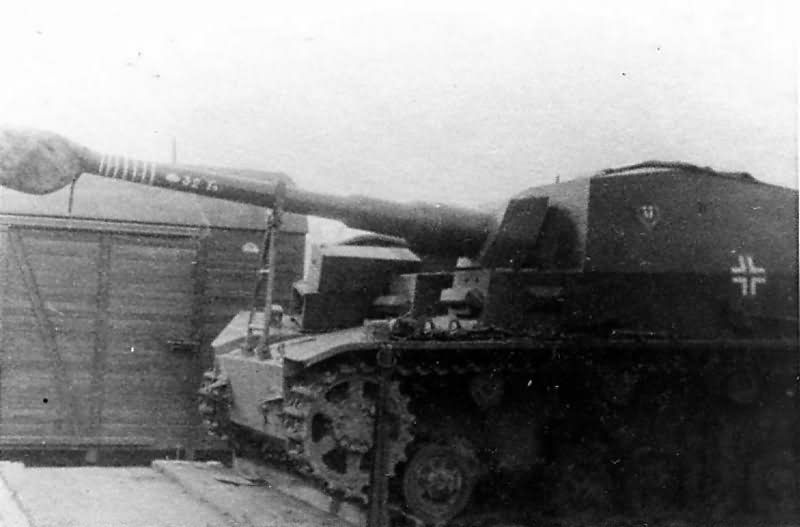 Dicker Max - Warphotos.net