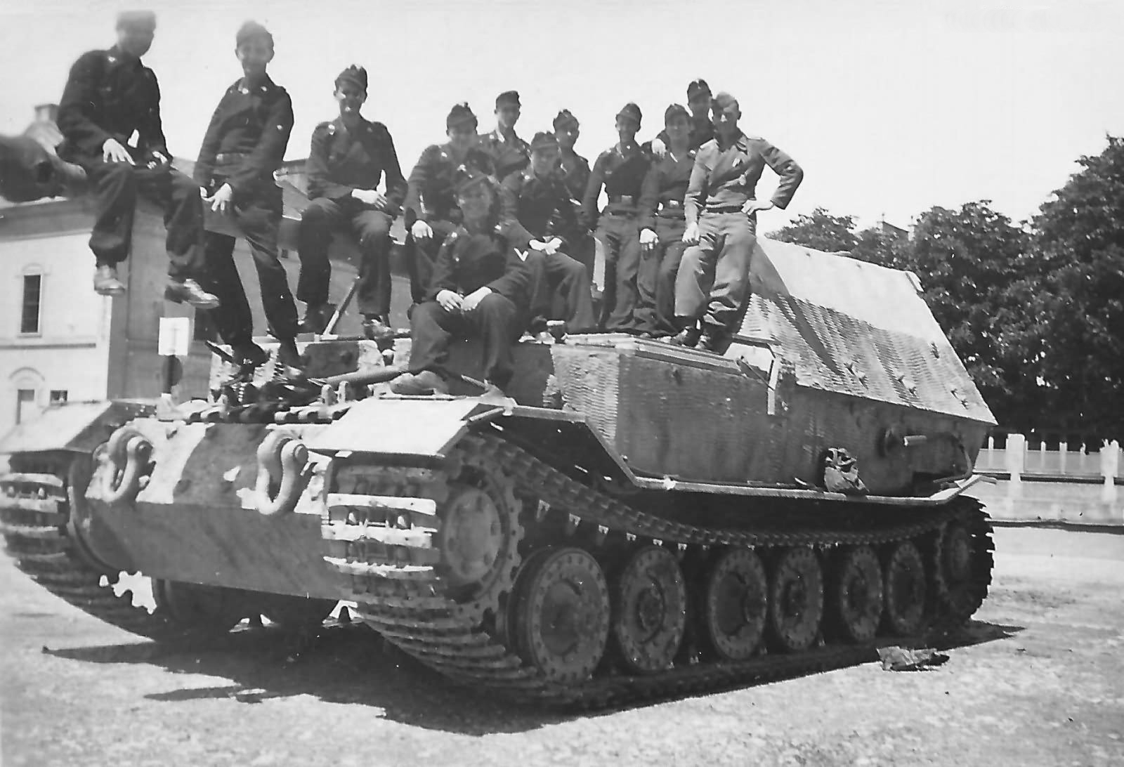 Elefant / Ferdinand - Warphotos.net