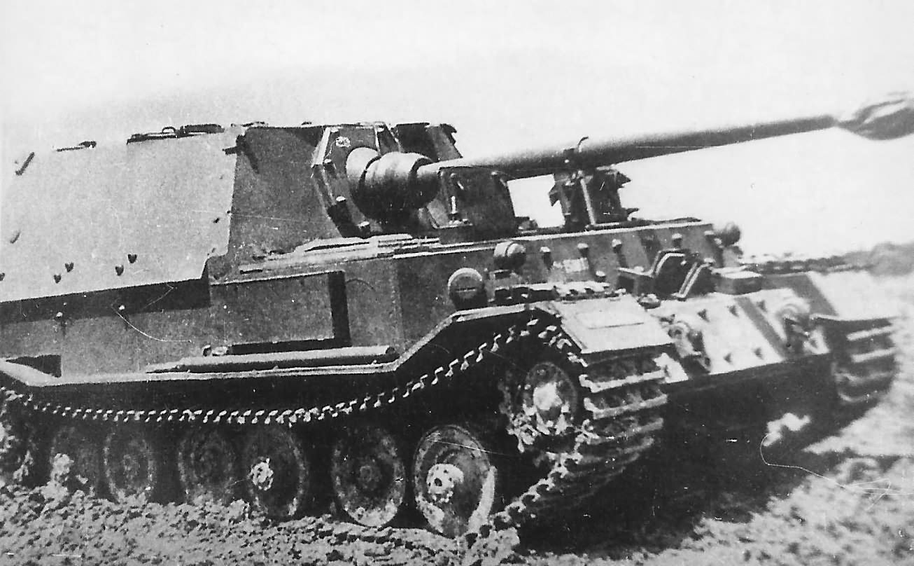 Elefant / Ferdinand - Warphotos.net