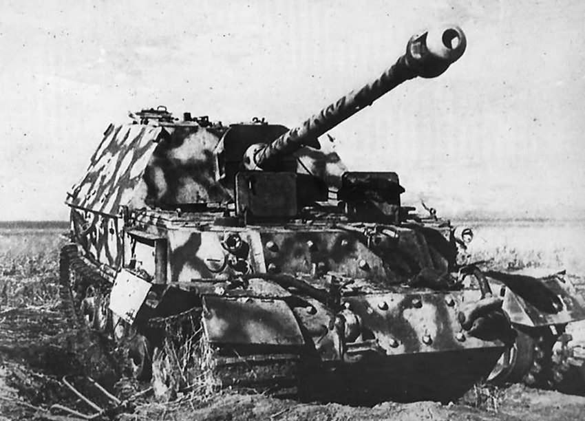 Elefant / Ferdinand - Warphotos.net