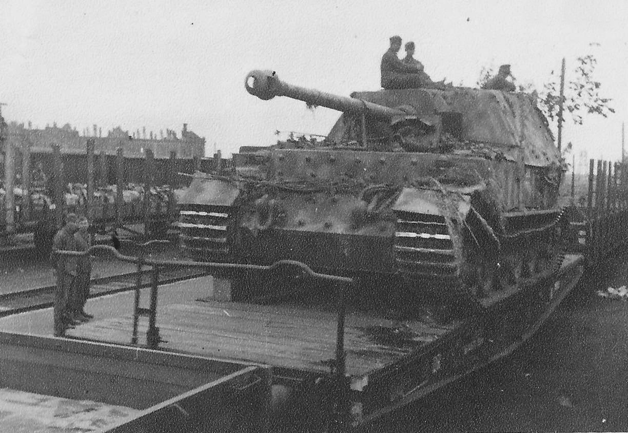 Elefant / Ferdinand - Warphotos.net