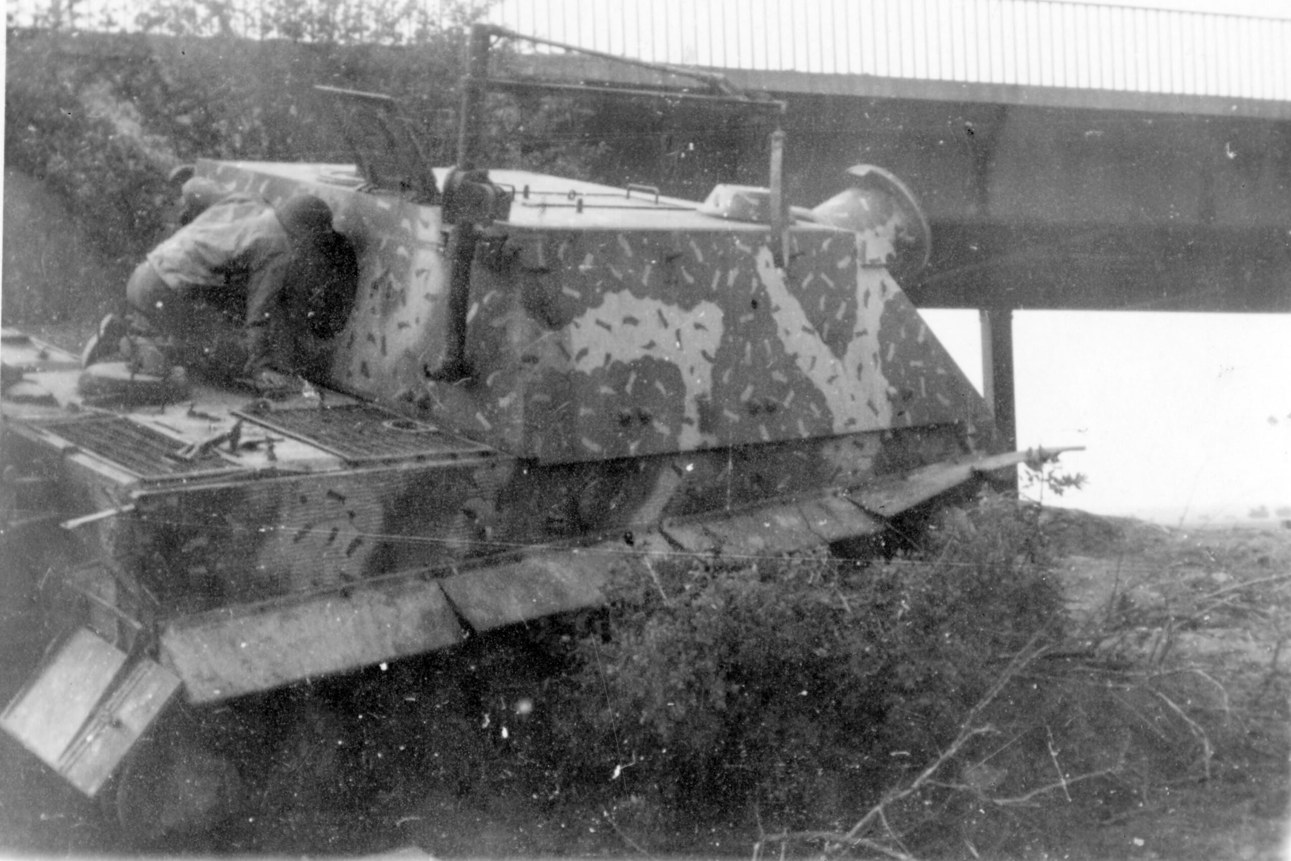 Sturmtiger - Warphotos.net