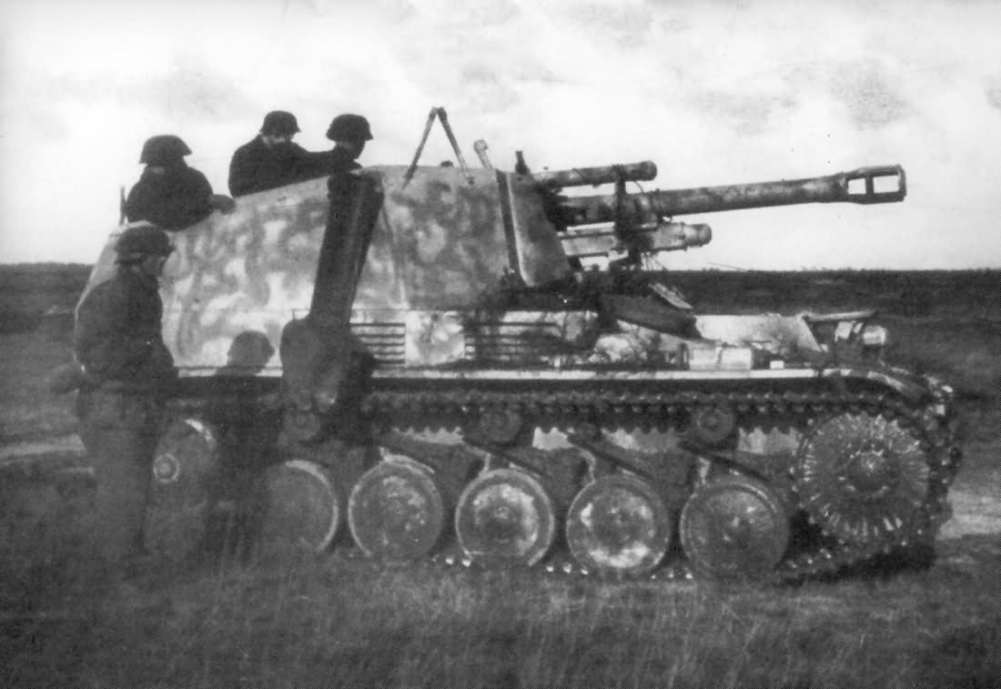 Wespe - Warphotos.net